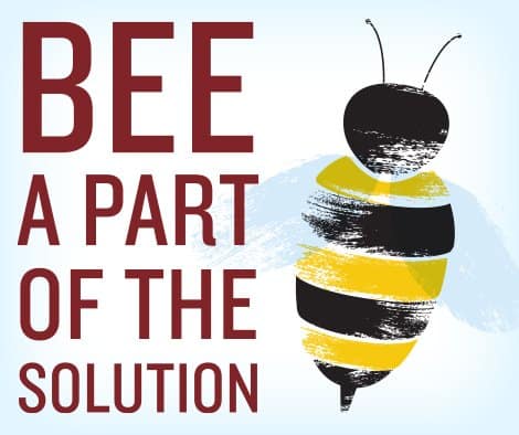 Bee a Part of the Solution! Help Save Pollinators! • USA Love List