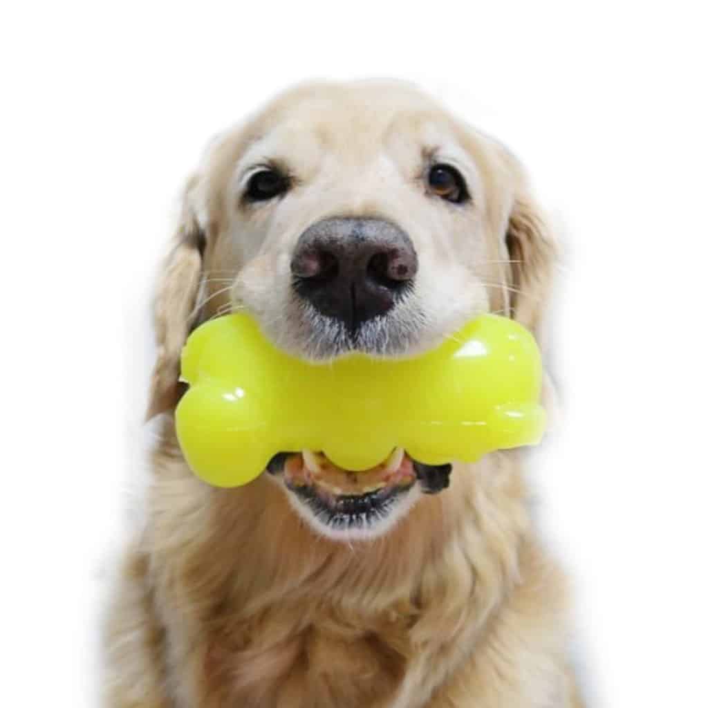 Best American Made Toys for Dogs Home Alone • USA Love List